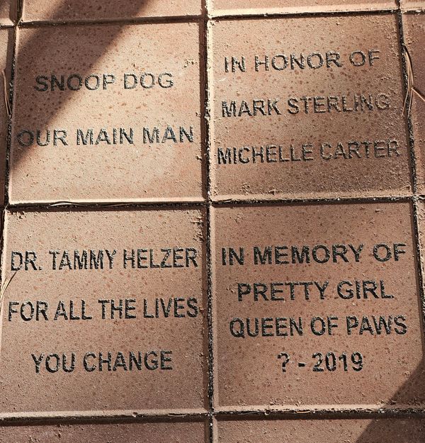 Memorial Pavers
